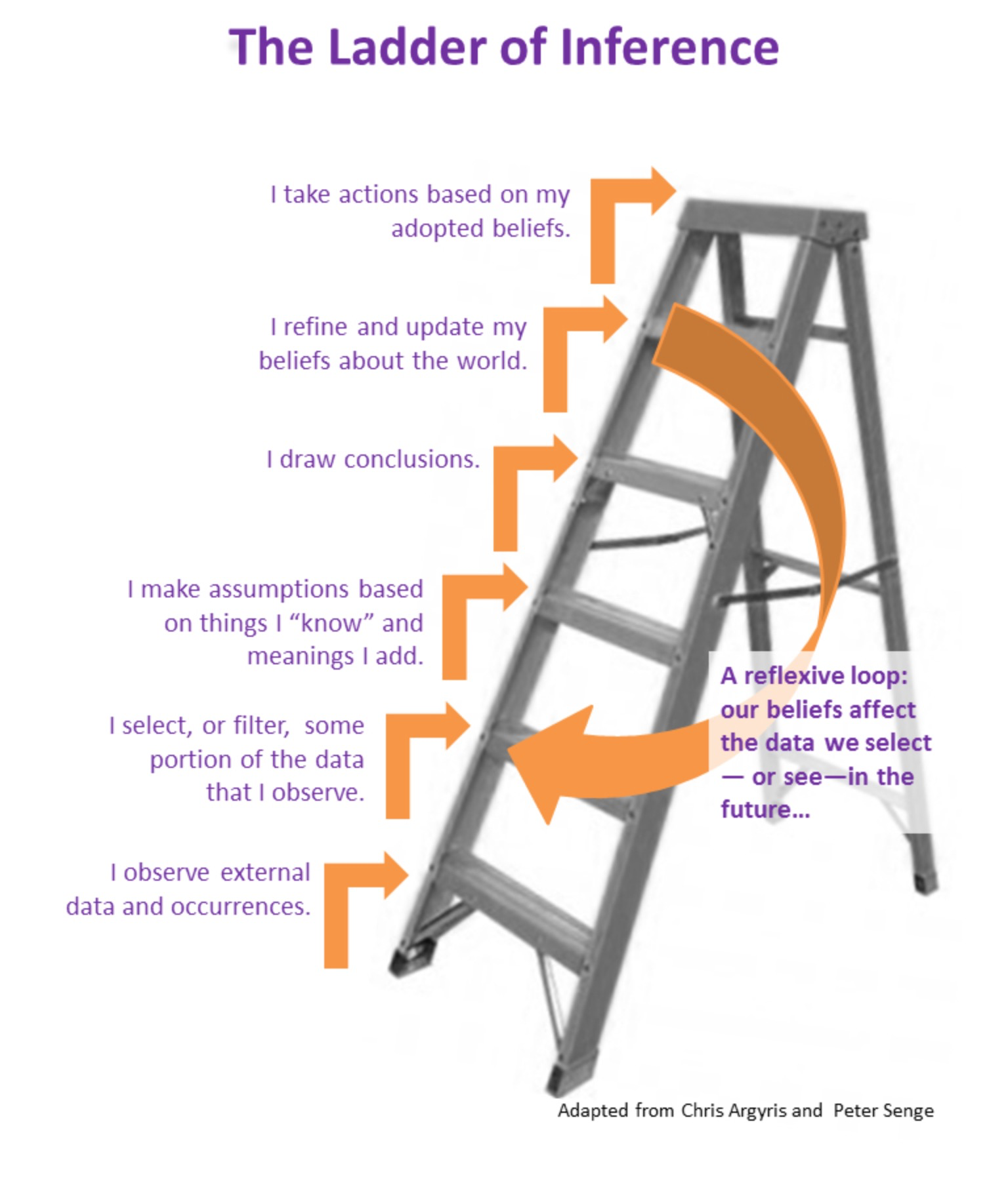 The Ladder of Inference. Climbing Down from Expert Bias – What's the PONT