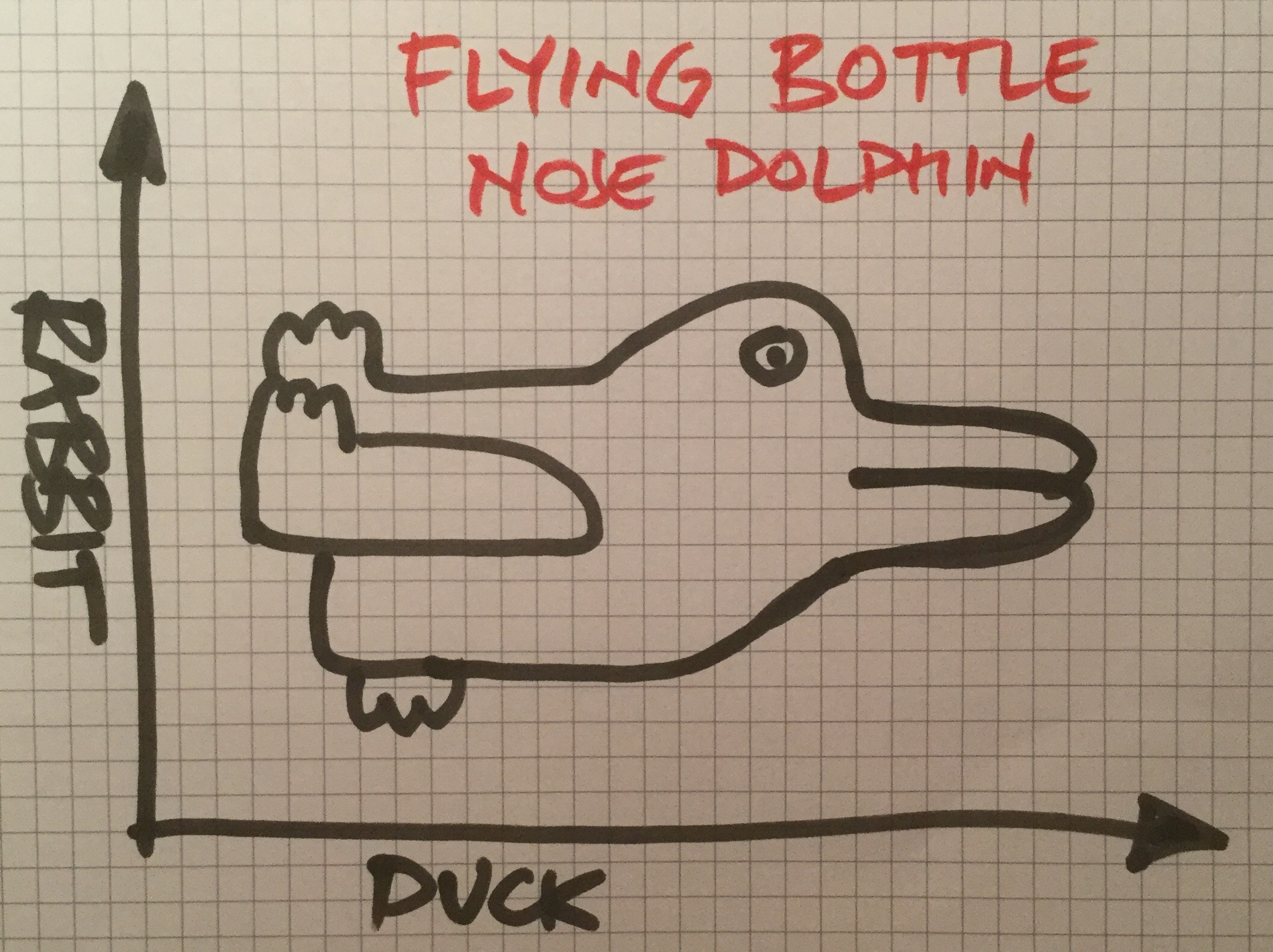 Duck or Rabbit, the Evidence! (based on perception and bias) – What's ...