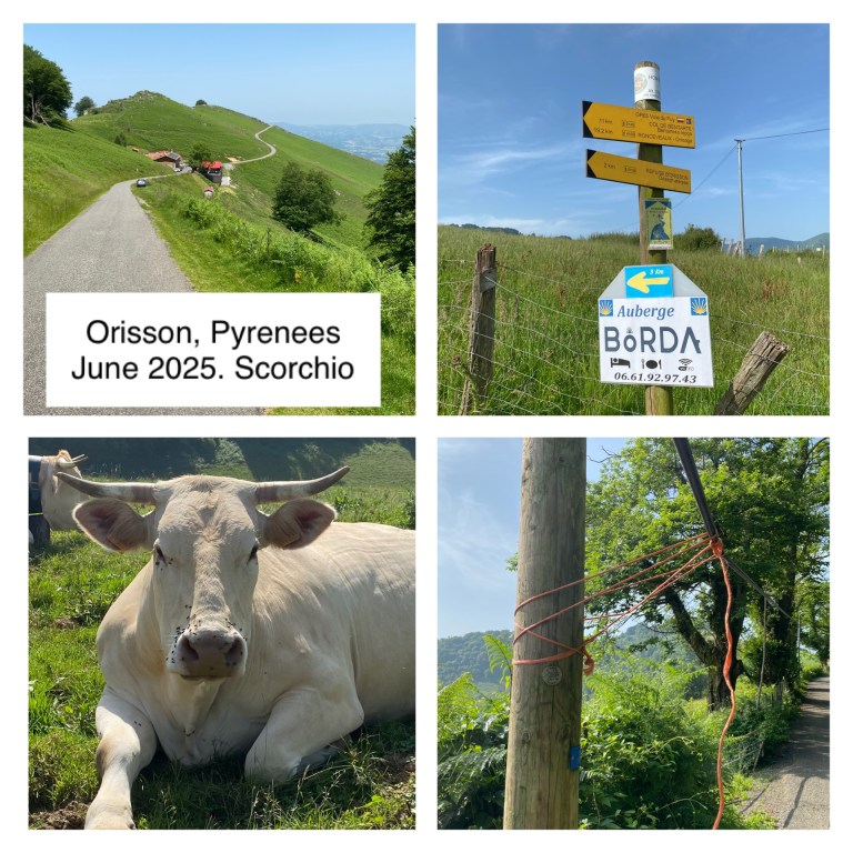 Orisson, Camino Frances Day 3 – What's the PONT